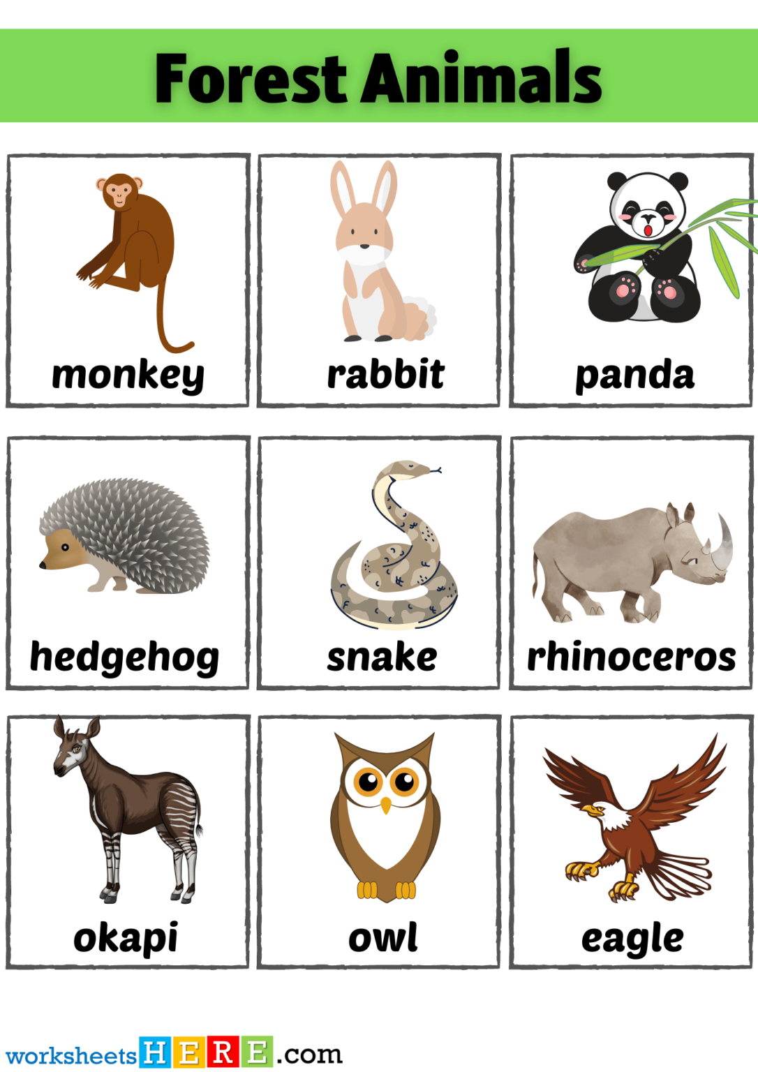 Forest Animals Names Flashcards, Forest Animals Names with Pictures ...