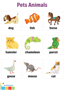 Pet Animasl Names List with Pictures, +100 Pet Animals Names List From ...