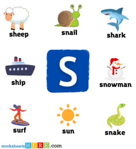 Start with Letter S Words with Pictures, Alphabets S Vocabulary with ...