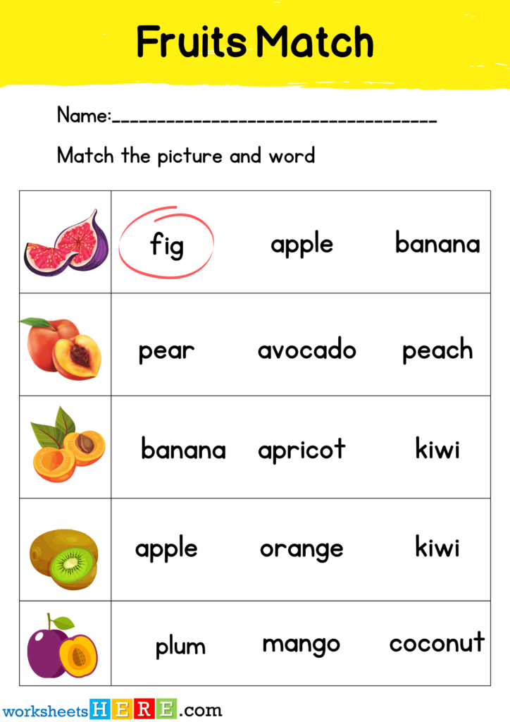 Fruits Names Match with Pictures Activity PDF Worksheet For ...