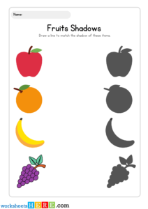Fruits Shadows Matching Activity PDF Worksheets For Kids ...
