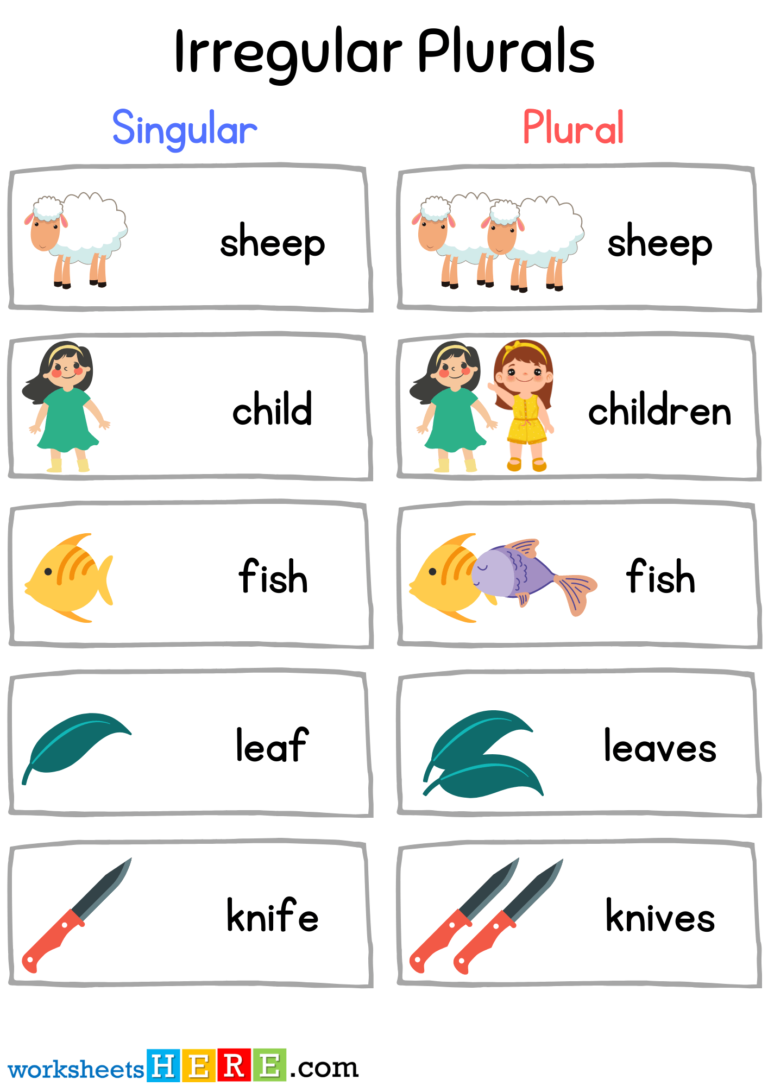 Irregular Plurals List, Singular and Plural Irregulars with Pictures ...