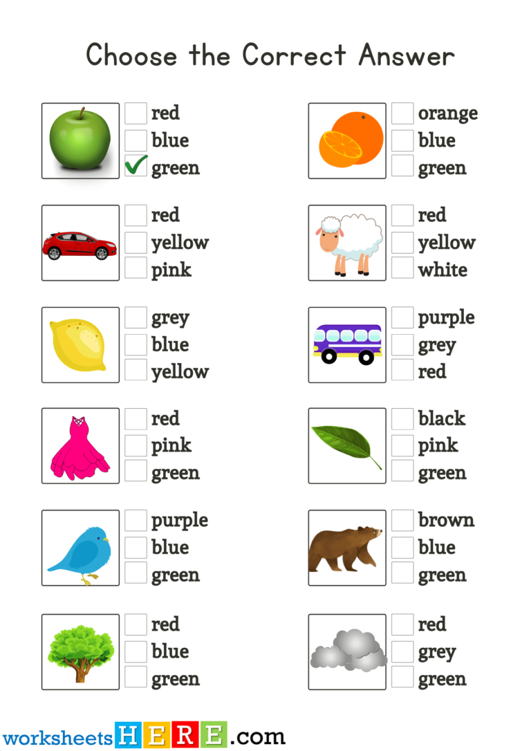 Look the Pictures and Choose the Correct Answer PDF Worksheet For ...