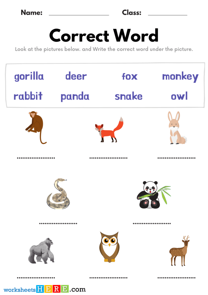 Matching Correct Words With Animals Names Pictures PDF Worksheets For ...