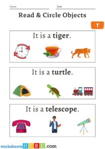 Read Sentences and Circle Objects Starting Letter T Activity Worksheets ...