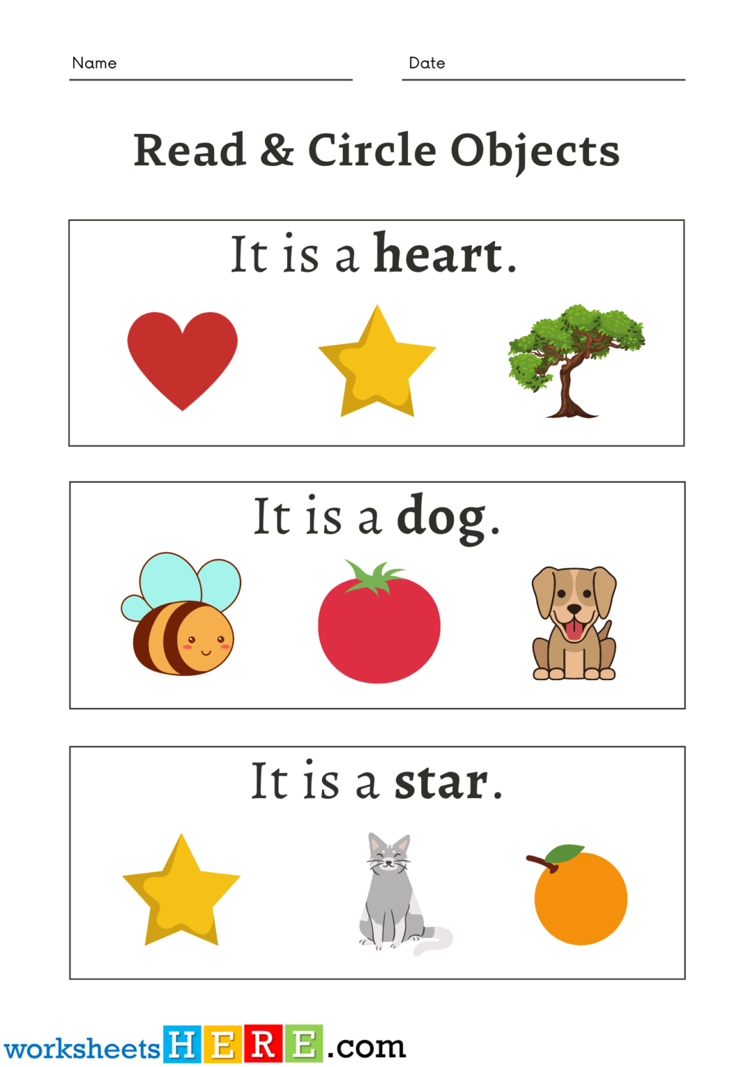 Read and Circle Correct Objects Activity Worksheets For Kids ...