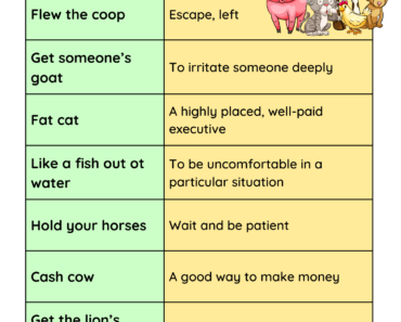 Idioms about Birds and Meaning PDF Worksheet For Students and Kids ...