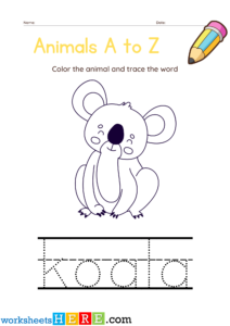 Tracing and Coloring Activity Koala PDF Worksheet For Kindergarten ...